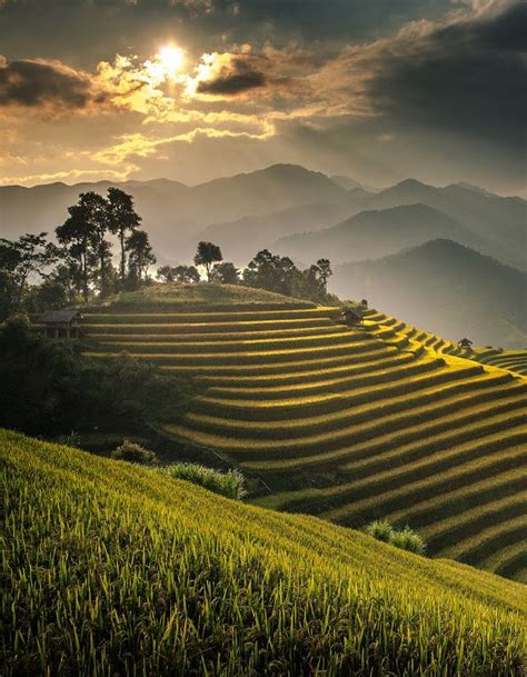 Terraced Fields Of Mu Cc 80 Cang Cha Cc 89i Photography By