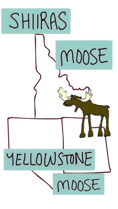 Part 2 Moose Are In Nevada Keep An Eye Out In The Northwestern Part 👀