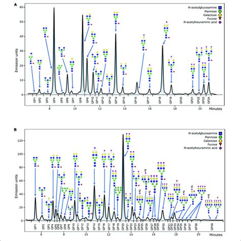 Example Of IgG A And Total Plasma Proteins B N Glycan Download Scientific Diagram