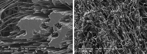 Microstructure Of Ablative Materials With Rfa Sigratherm On The Left Download Scientific
