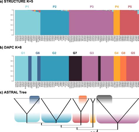 Genetic Clusters Designated By A Structure And B Dapc Analysis