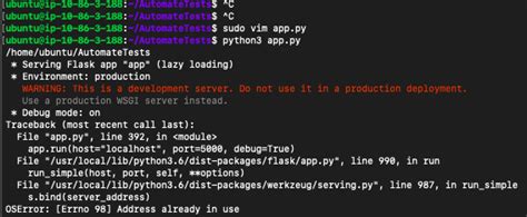 Python Oserror Errno 98 Address Already In Use Running Flask