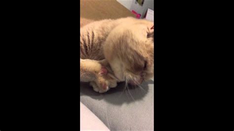 Doshide舔腳交 Youtube