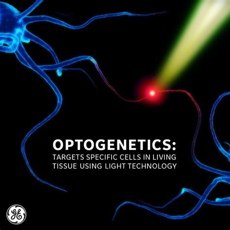 The Cover Of An Article About Optogenetics With Blue And Red Lights