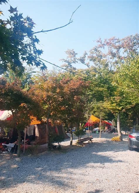 천보웰니스캠핑장 오지캠핑노지캠핑