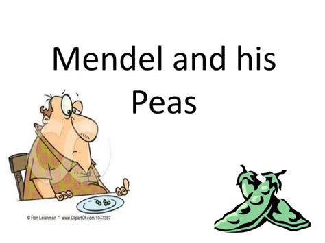 Ppt Mendel And His Peas Powerpoint Presentation Free Download Id
