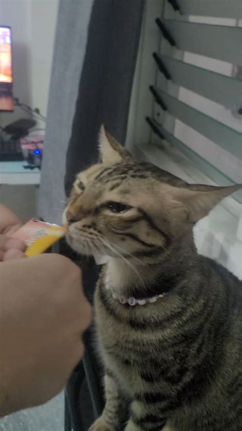 Enjoying Her Treat R Eyebleach