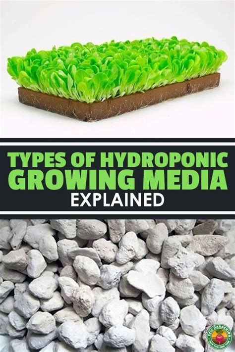 Hydroponic Growing Media Artofit