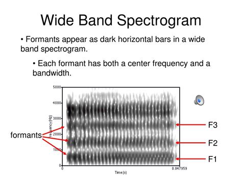 Ppt Formants Resonance And Deriving Schwa Powerpoint Presentation