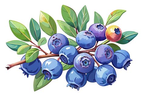 Download Ai Generated Blueberries Watercolor Royalty Free Vector