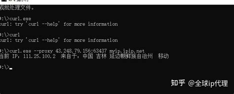 Windows系统如何配置curl？ 知乎