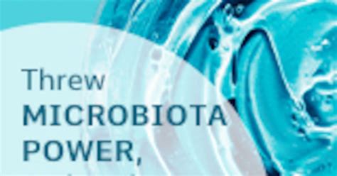 Photo Bioreactor Algae Culture