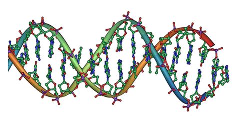 Mgr specializace Bioinformatika Otevřená informatika FEL ČVUT
