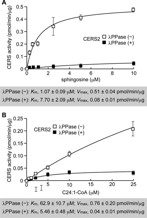 Enzyme Activities Of The Ceramide Synthases Cers2 6 Are Regulated By Phosphorylation In The C