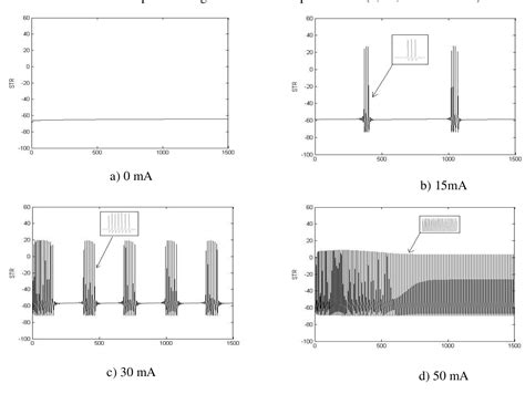 Pdf Modeling Dynamic Behavior Of Striatal Medium Spiny Neurons With