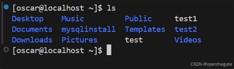 Linux系统虚拟机远程连接windows系统（保姆级教程，两种方法 Finalshell或vscode）linux远程连接windows Csdn博客