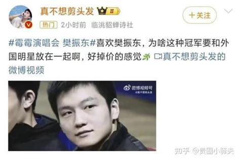 关你屁事！樊振东怎么就不能公开看霉霉演唱会？！ 知乎