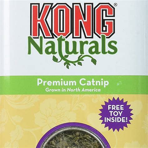 Catnip Types And Options For Your Cat Purrfect Love