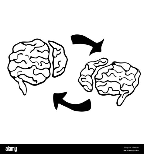 Brain Synchronization Sketch Icon Vector Hand Drawn Doodle Line Art