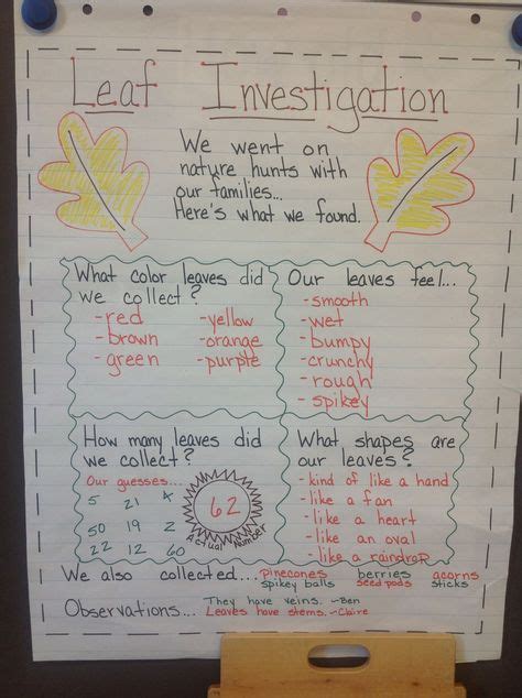 49 Tree Unit Prebabe Ideas Tree Study Prebabe Autumn Activities