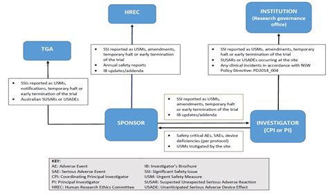 Slhd Rpa Research Ethics And Governance Office Safety Reporting