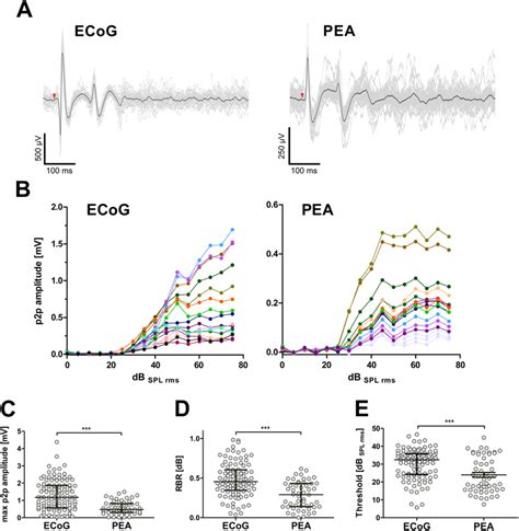 The New Ecog Grid Enabled Recordings Of Evoked Lfp Responses Similar To Download Scientific