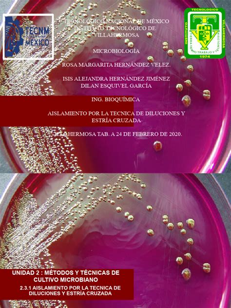 Tecnica De Diluciones Pdf Biología Microbiología