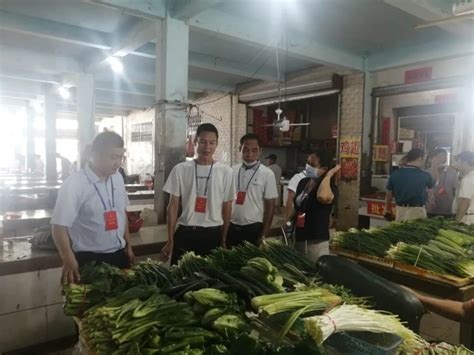 乐民镇人大督导爱卫防疫工作为群众健康保驾护航遂溪县人民政府公众网站