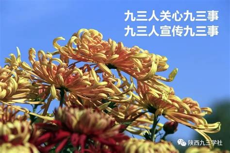 关于印发九三学社陕西省委社会服务工作表彰奖励办法的通知 搜狐大视野 搜狐新闻