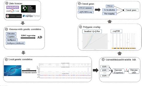 Figure 1 From Integration Of Multiple Omics Data To Reveal The Shared Genetic Architecture Of
