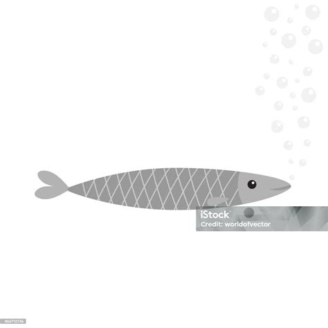 정어리 회색 물고기 아이콘입니다 Iwashi입니다 사르디 나 Pilchardus입니다 귀여운 만화 캐릭터입니다 멸 치 정어리입니다 거품을 물 평면 디자인입니다 흰색