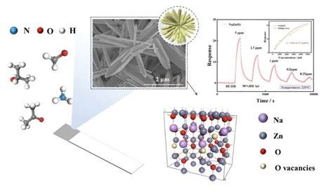 Self Assembled Na Doped Zinc Oxide For The Detection Of Lung Cancer Biomarker Vocs At Low