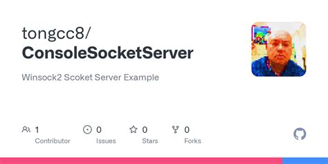 github tongcc8 consolesocketserver winsock2 scoket server example