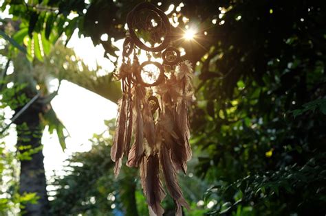 태양이 배경 Bokeh 자연에 설정에서 플레어 소프트 포커스 꿈 포 수 네이티브 아메리칸 드림 포 수입니다 Boho 세련 된