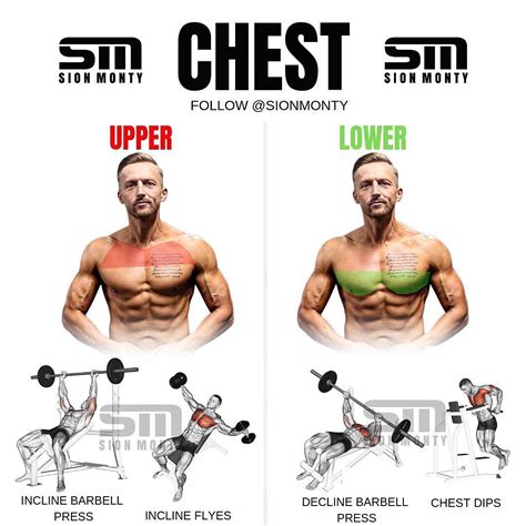 Lower Chest Exercises For Men