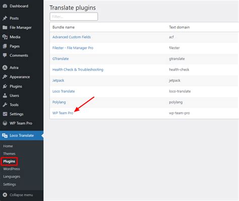 Using Loco Translate Wp Team