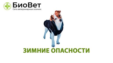 Зимние опасности Youtube