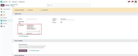 Import Translation Odoo 17 Development Book