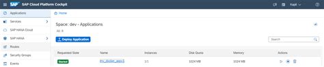 Deploy Application Using Docker Container On Sap C Sap Community