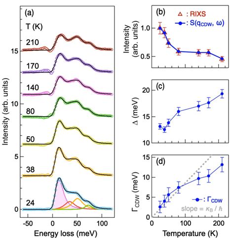 Temperature Dependence Of Cdw Fluctuations A Momentum Integrated