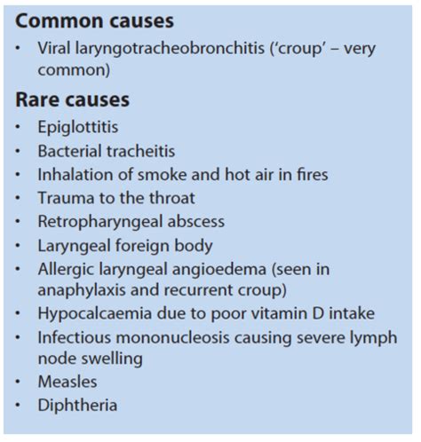 Respiratory Flashcards Quizlet