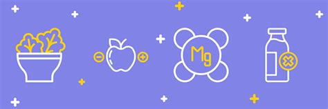 라인 유당 불내증 마그네슘 칼로리 계산기 및 샐러드 그릇 아이콘을 설정합니다 벡터 0명에 대한 스톡 벡터 아트 및 기타 이미지 0명 개념 계산기 Istock