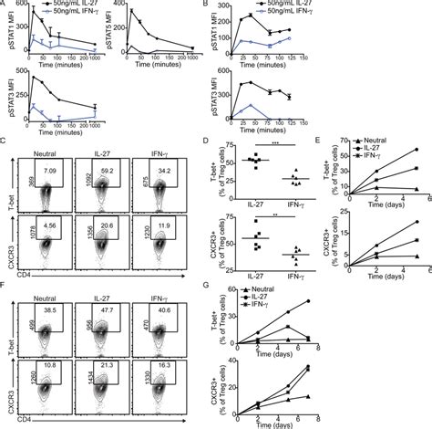 Ifn γ And Il 27 Have Distinct Effects On Treg Cells Download