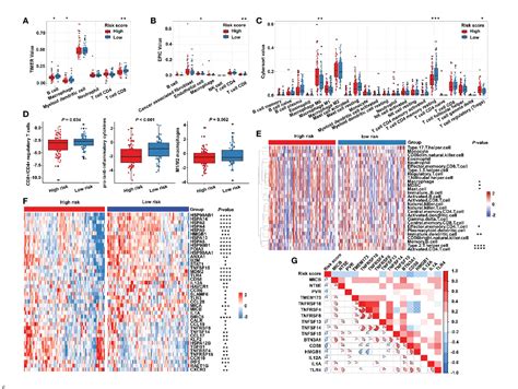 Figure 6 From Developing An M5c Regulatormediated Rna Methylation