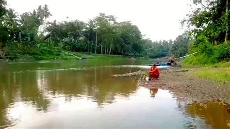 Heroik Emak Emak Diseret Buaya Diselamatkan Penambang Pasir
