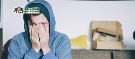 Can Cannabis Help Treat Erectile Dysfunction