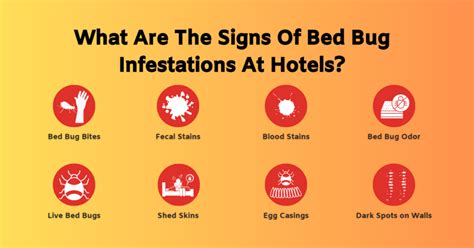 How Do Hotels Prevent Bed Bugs Truly Blog