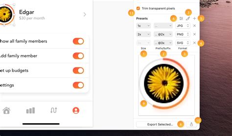 How To Import Sketch Layers Into Principle App Amelapan