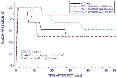 Pharmaceutics Free Full Text Photodynamic Therapy Supported By