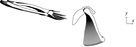 Combined Rotations In Tikz Tex Latex Stack Exchange
